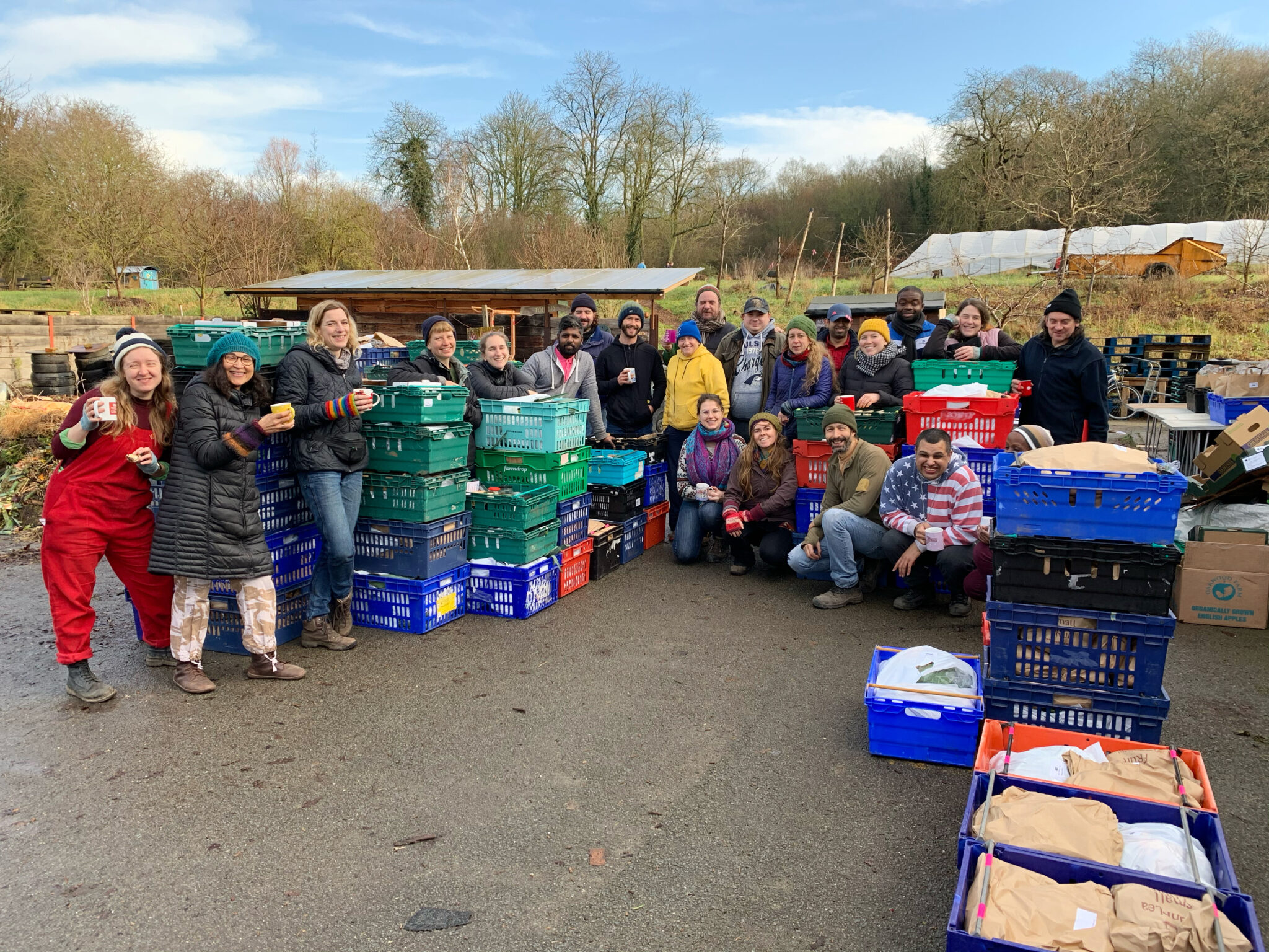 Our Fruit and Veg Box Scheme – OrganicLea – A workers' cooperative ...
