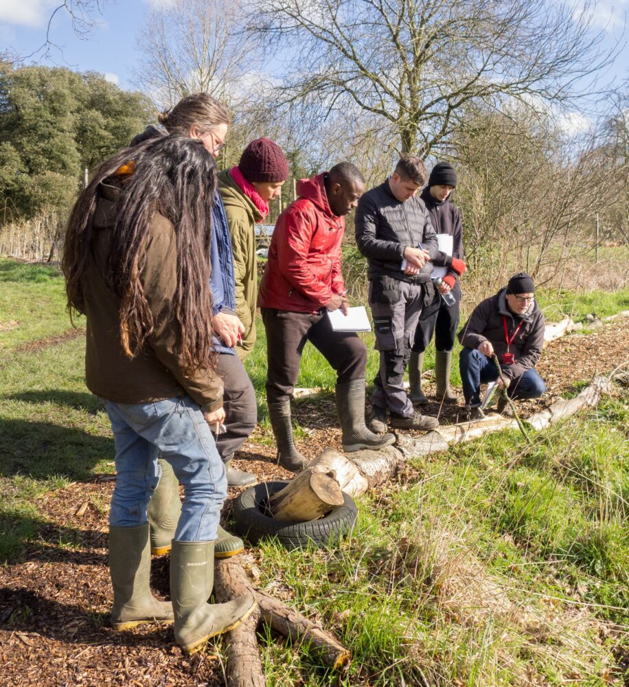 Learn Something New in May - OrganicLea - A workers' cooperative ...