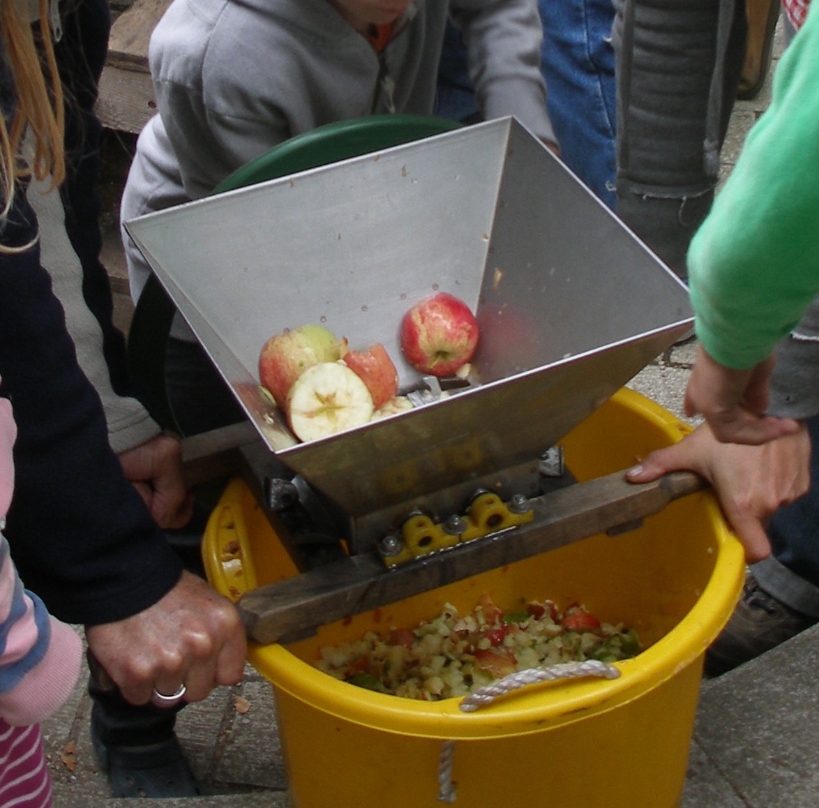Fungi, Fruit & Forest Fun - OrganicLea - A workers' cooperative growing ...